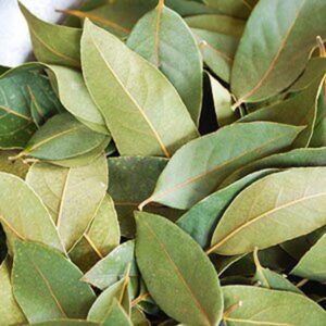 Pimento Leaves (Jamaican Allspice) – Buy Authentic Pimento Wood